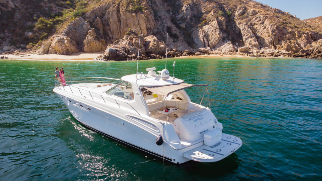 The Ultimate Fall Guide to Cabo | Cabo Platinum